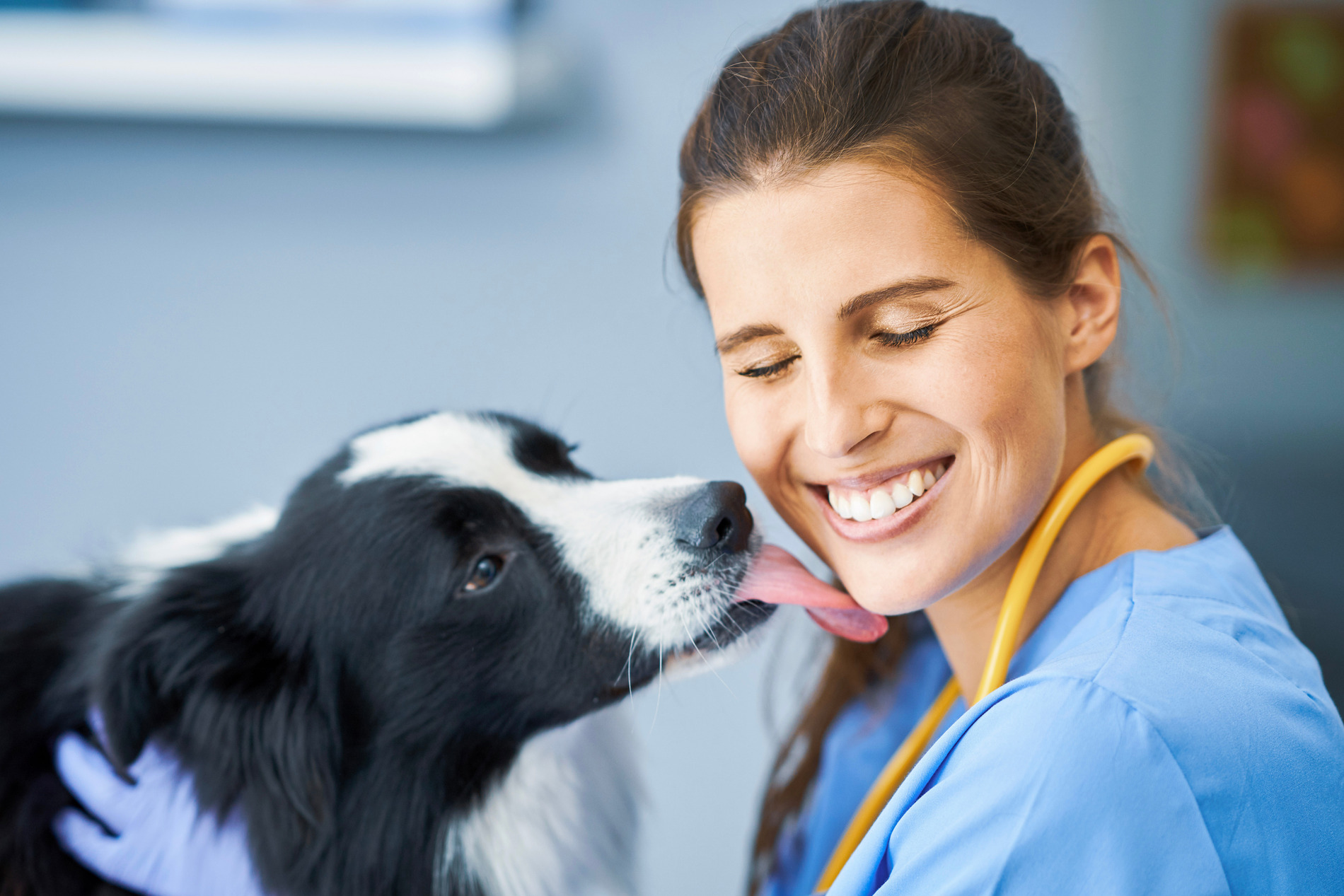 Preventative Care Tips for Pets in Hawthorne, CA